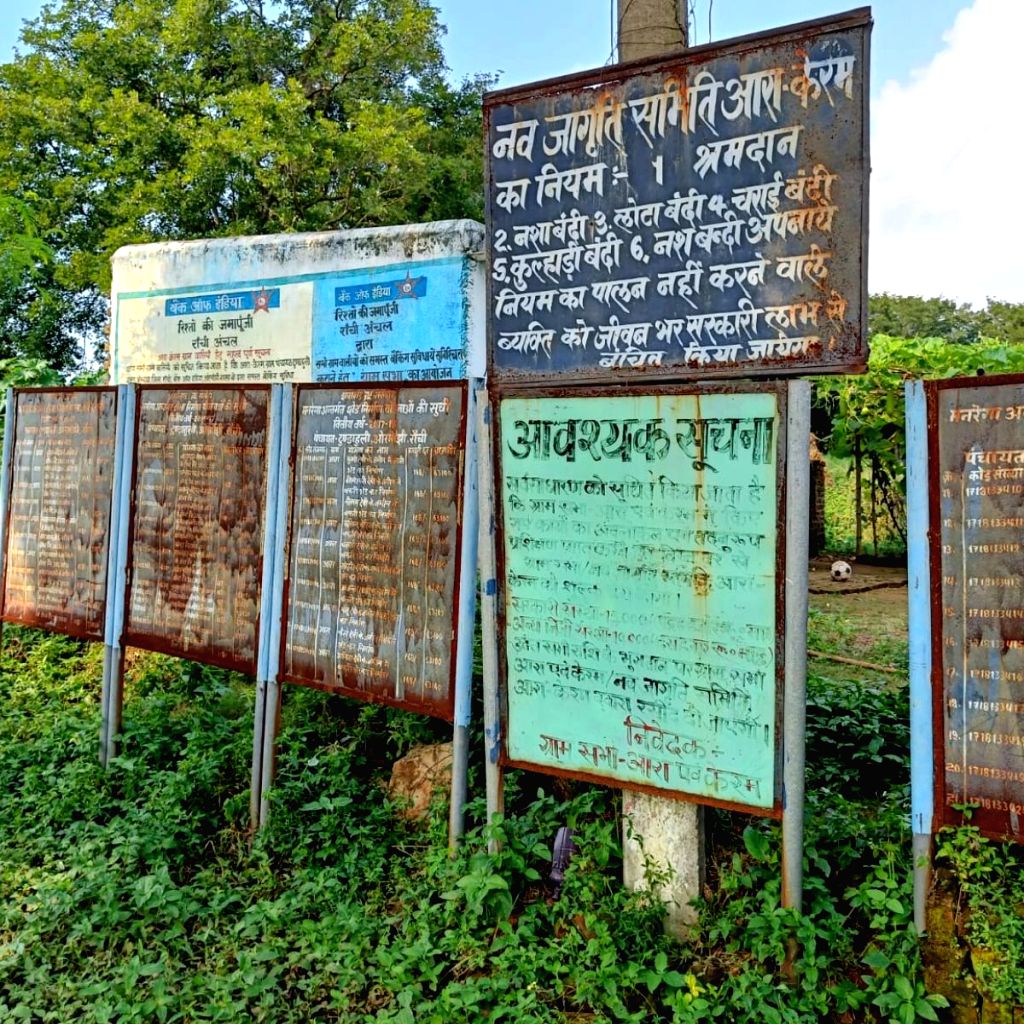 Free photo :For tribals in Jharkhand's Arakeram, Sal signifies the tree ...