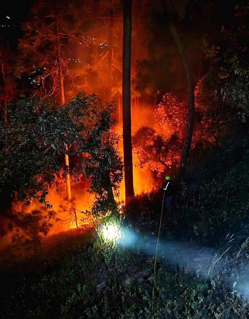 Forest Fire Breaks Out in Lamgada Area