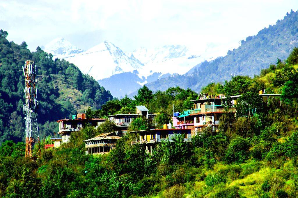 Fresh Snowfall in Kullu