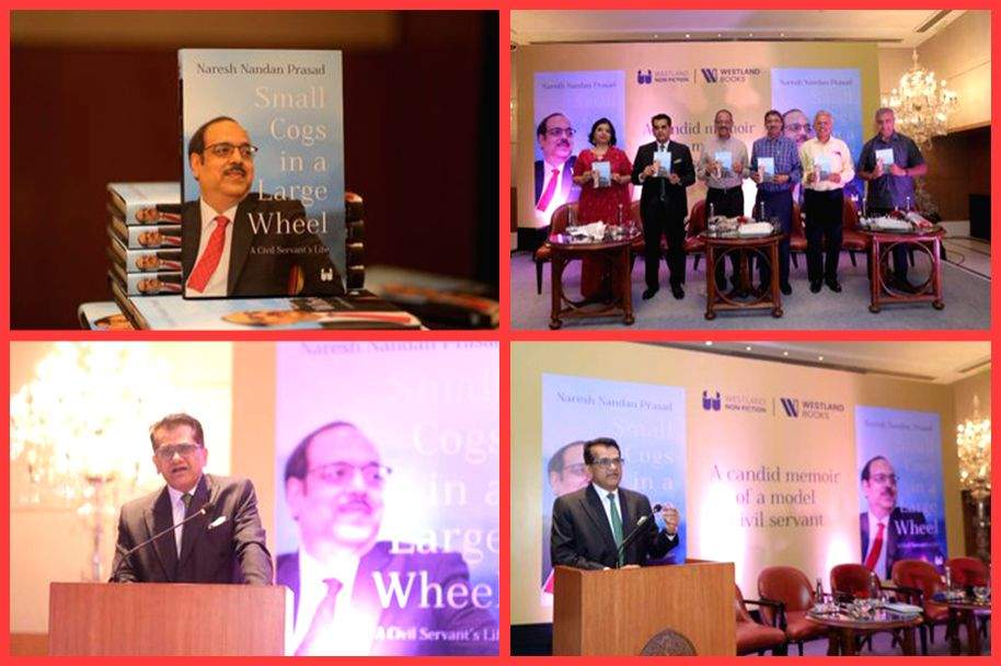 From IAS to UNIDO: Naresh Nandan Prasad's extraordinary journey in ...