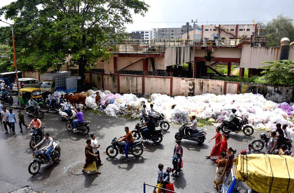 Garbage Piles in Surat