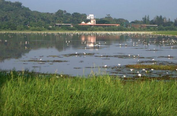 Free Photo:Goa's biggest lake to get new lease of life