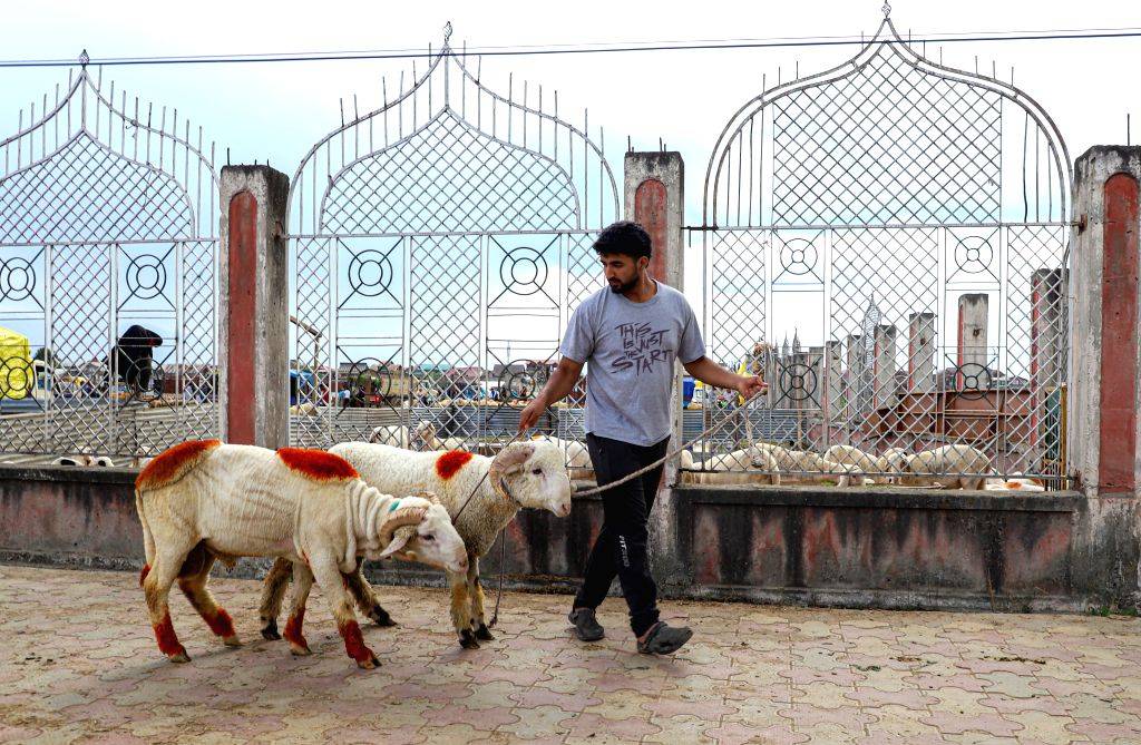Goats at a livestock market ahead of Eid al-Adha