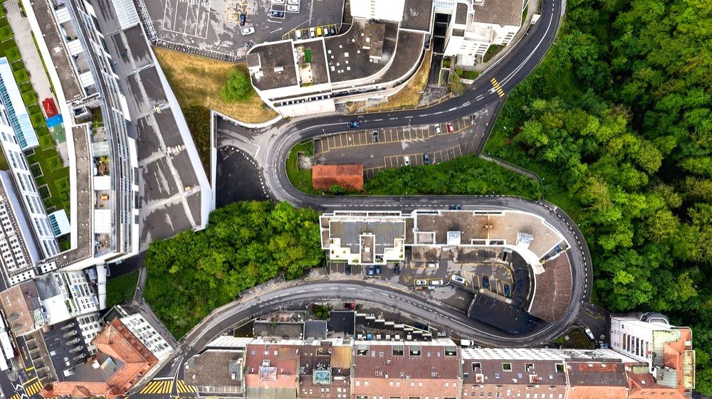 Google launches AI platform to help cities plant more trees