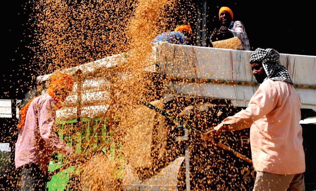 Grain Market