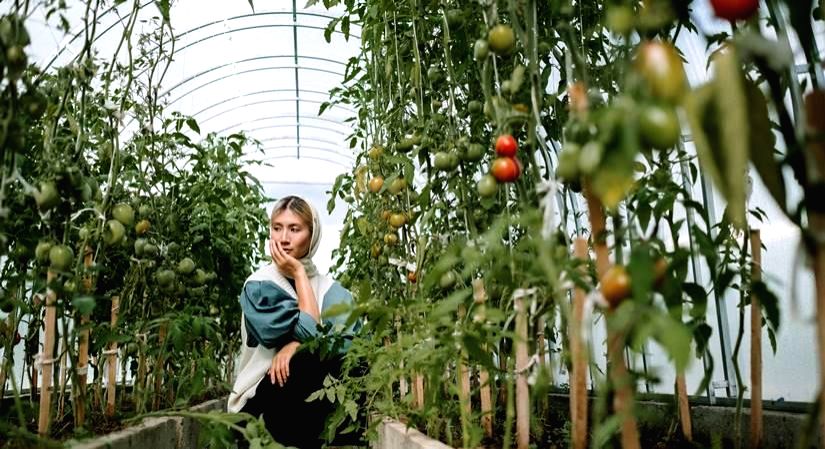 Health impact of organic farming