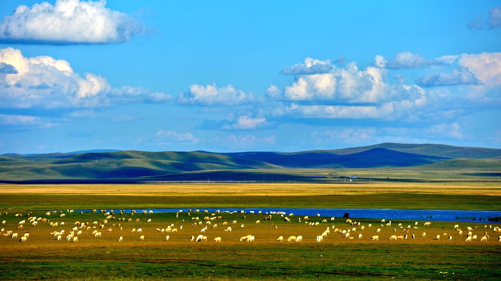 Hulun Buir: Grassland
