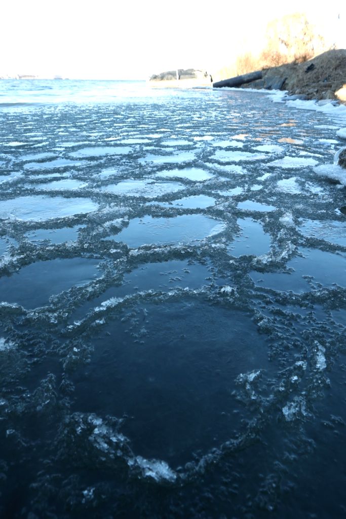 :Seoul:Ice floats on the estuary of the Han River in Goyang.