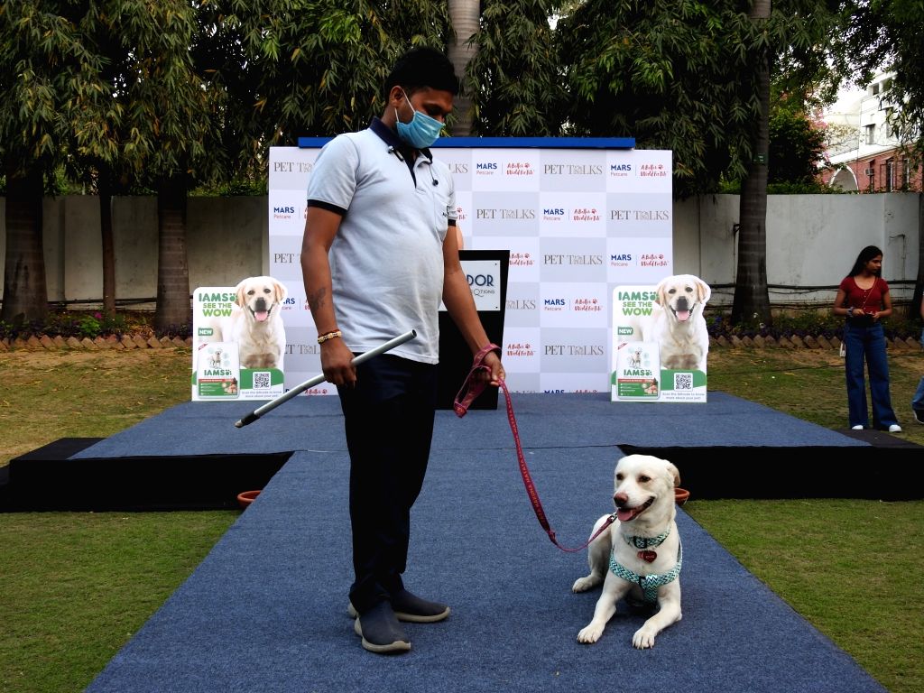 Pet showcase event in Delhi