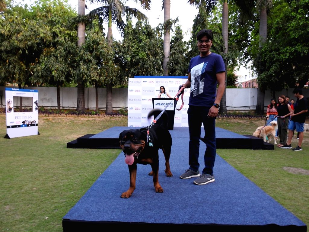 Pet showcase event in Delhi