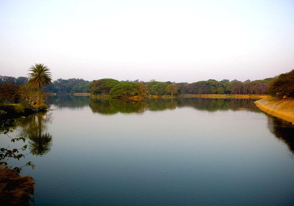 Incessant rain fill up hundreds of lakes at K'taka's Bandipur Tiger Reserve