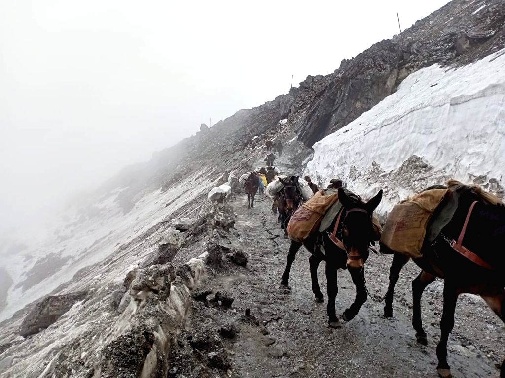 Indian Army lauds sacrifices of animal transport warriors