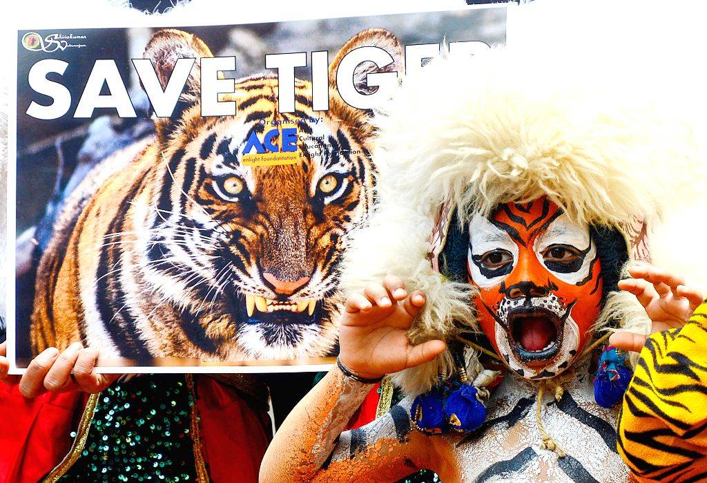 International Tiger Day celebrations