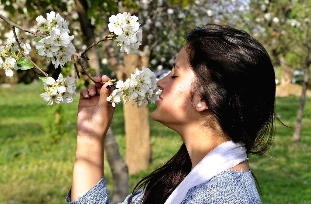 PAKISTAN-ISLAMABAD-SPRING-FLOWERS