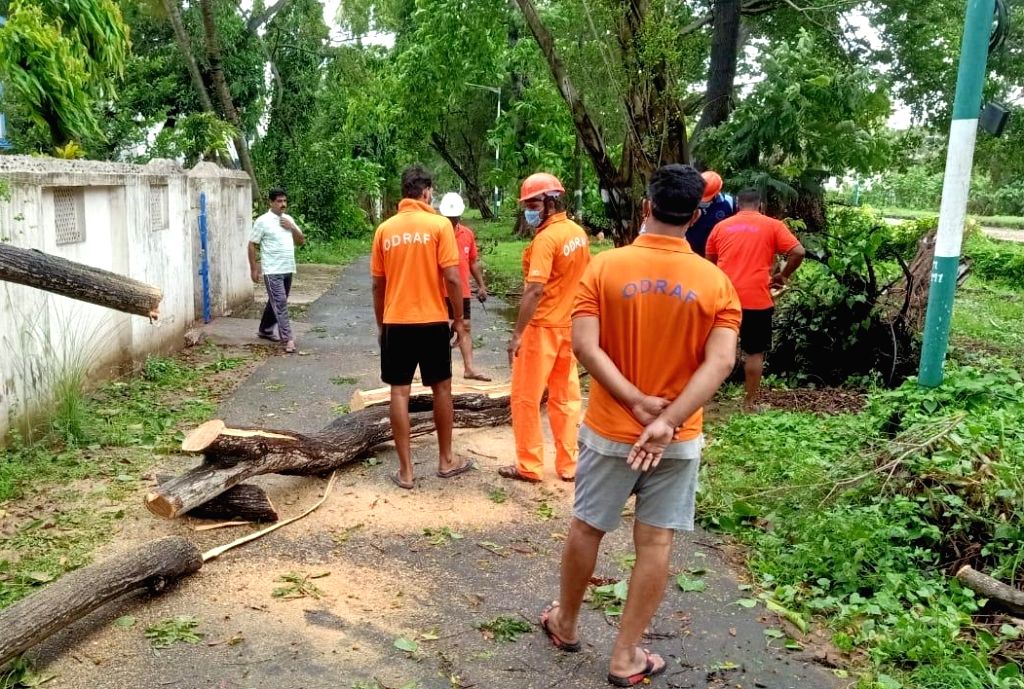 Free Photo: Jagatsinghpur ODRAF teams clearing roads in Paradeep ...