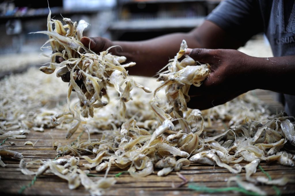 INDONESIA-JAKARTA-DRY FISH-DAILY LIFE