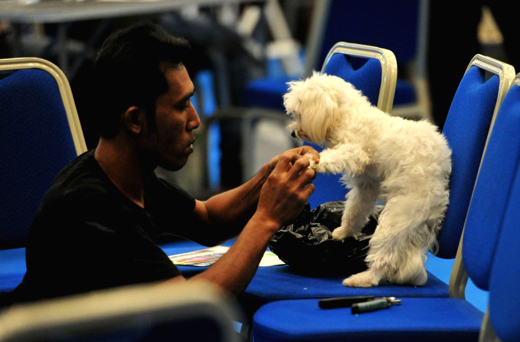 INDONESIA-TANGERANG-INDO PET EXPO 2016