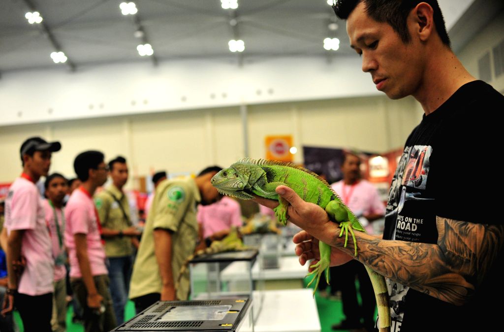INDONESIA-TANGERANG-INDO PET EXPO 2016