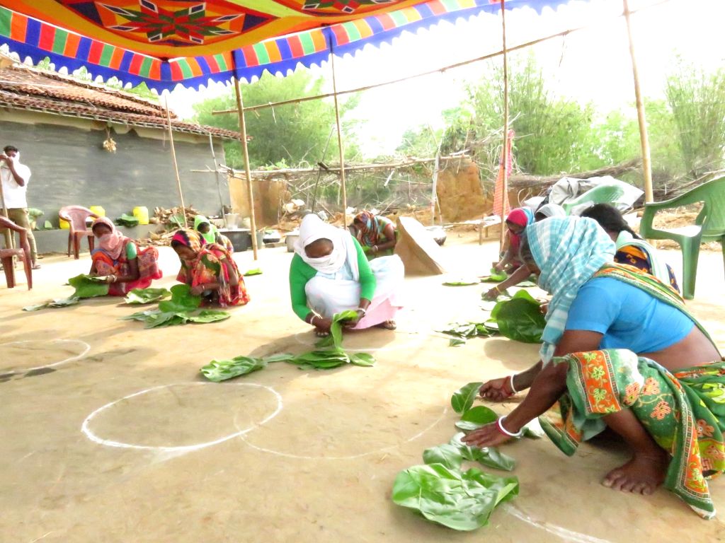 Tribal families earning livelihood through leaves