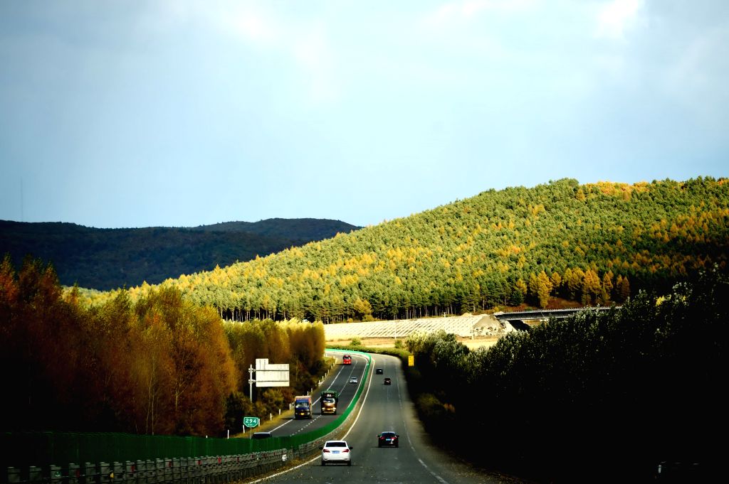 CHINA-HEILONGJIANG-AUTUMN SCENERY