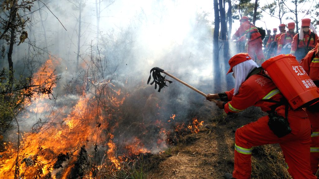 CHINA-YUNNAN-FOREST FIRE
