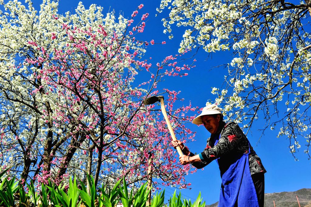 Sha'er Township of Jinchuan County