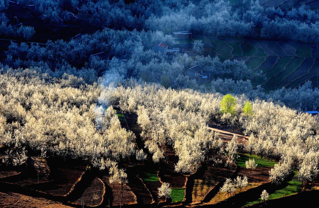 Sha'er Township of Jinchuan County