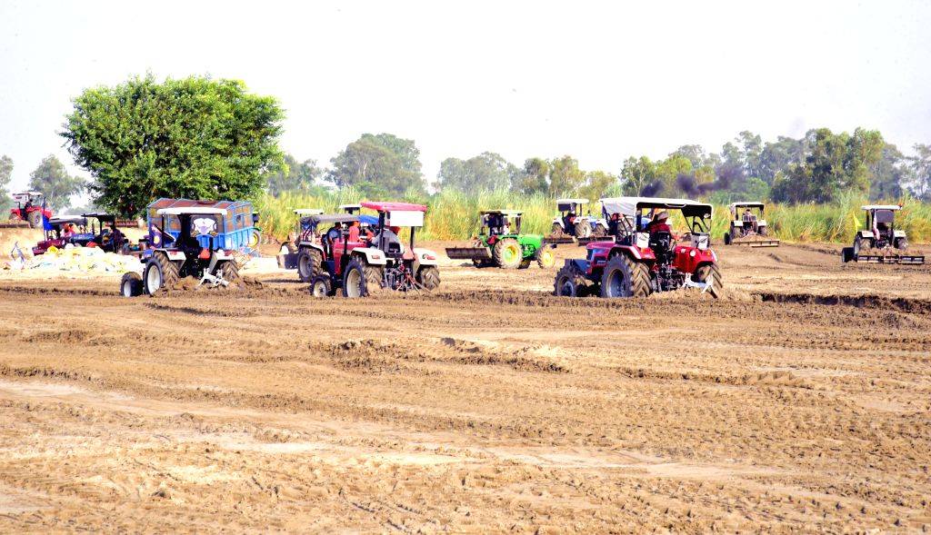 Kapurthala : Farmers Clear Flood-Affected Fields in Sultanpur Lodhi