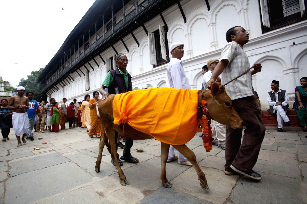 Gaijatra Festival