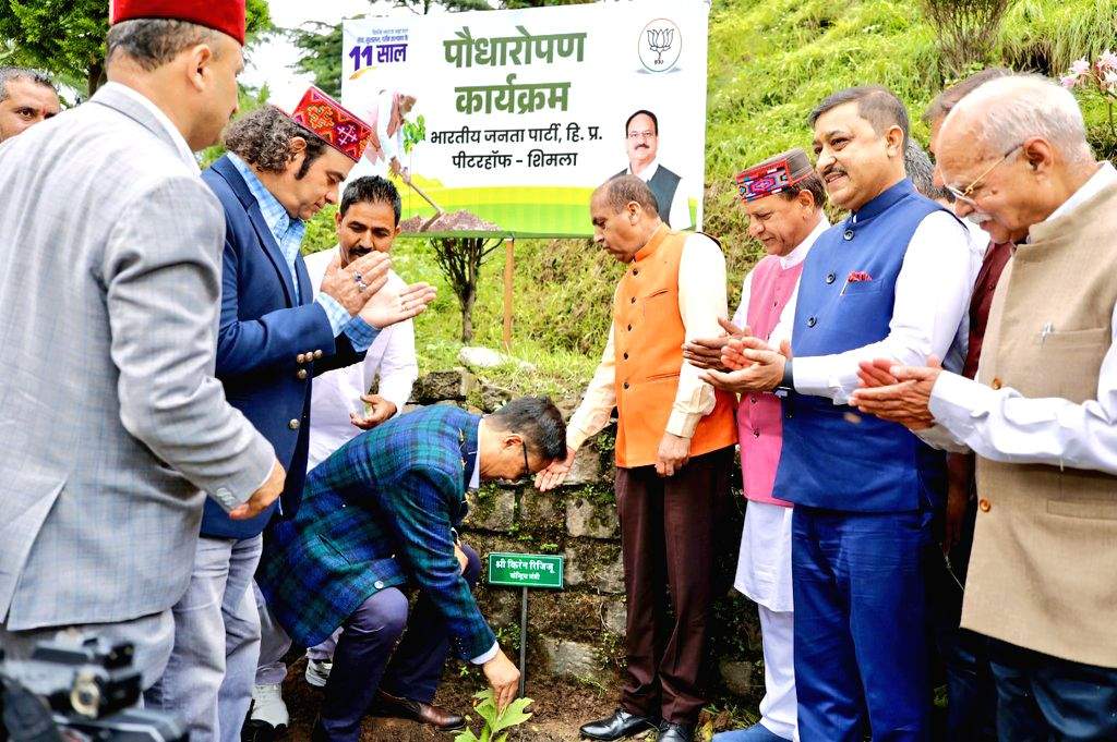 Kiren Rijiju Plants Tree