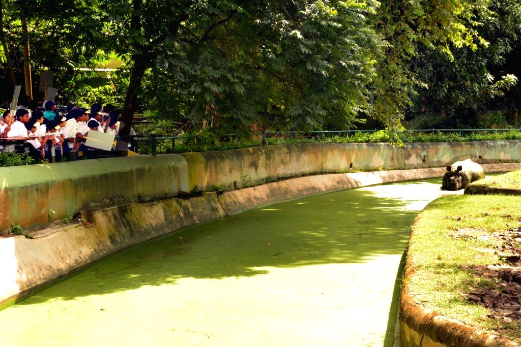 Hangout with animals, Kolkata's Alipur Zoo goes virtual