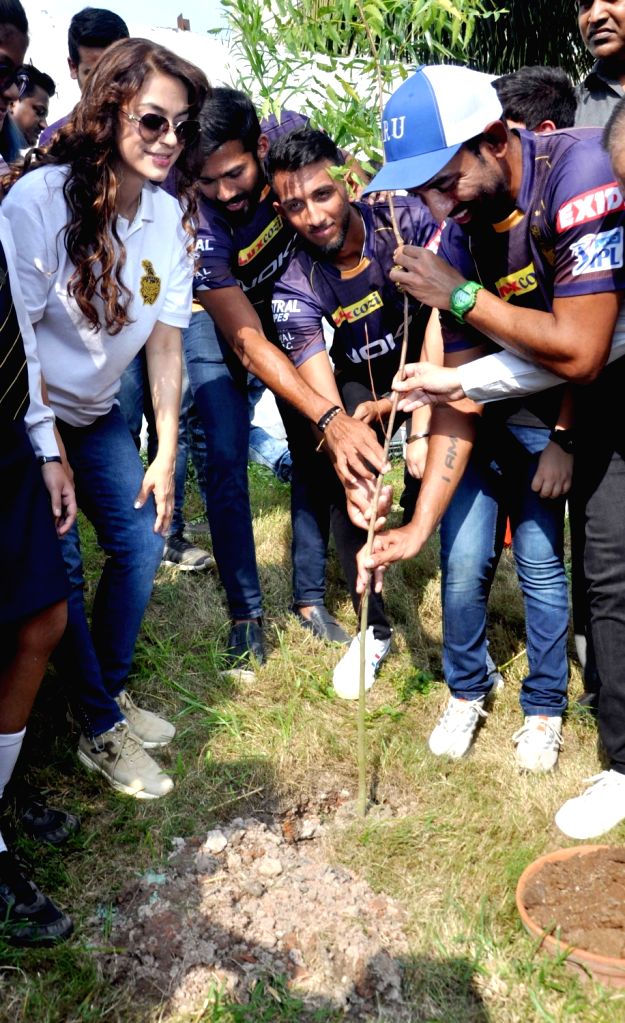 KKR's promotional programme