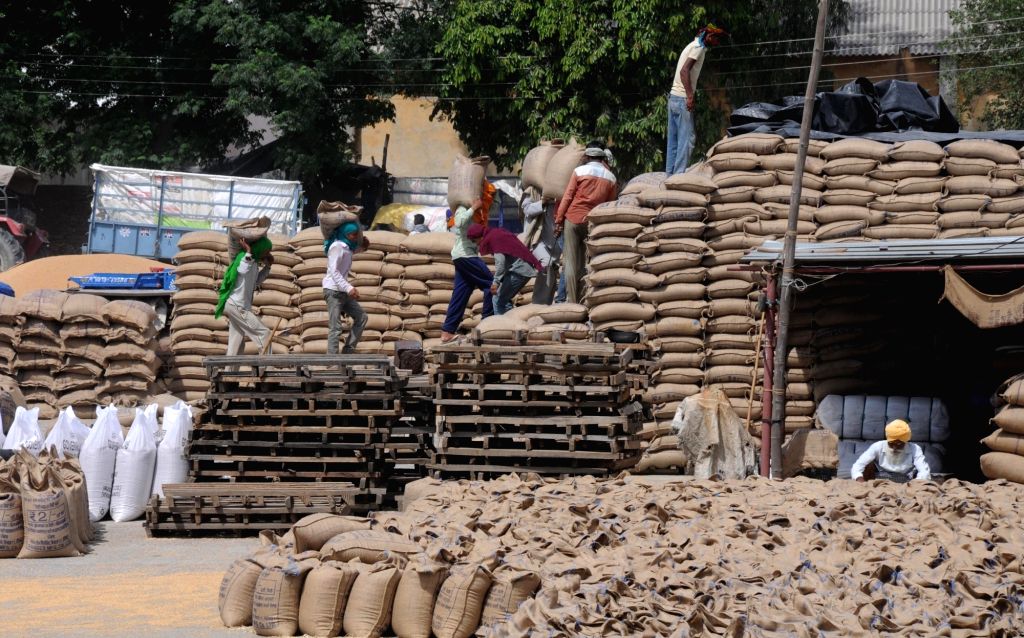 Grain market