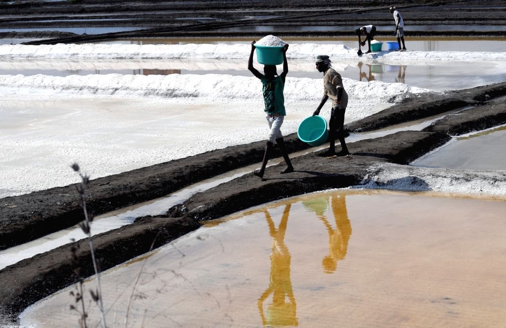 Labourers carry salt in baskets on their heads as they work at a salt pan