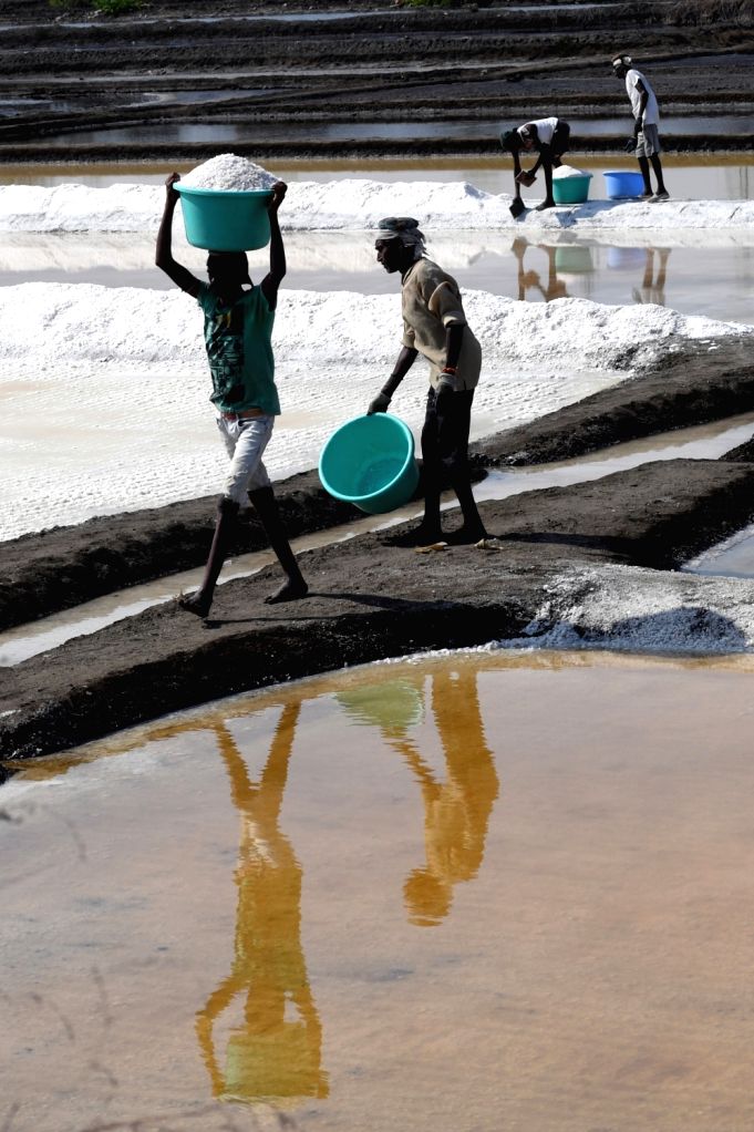 Labourers carry salt in baskets on their heads as they work at a salt pan