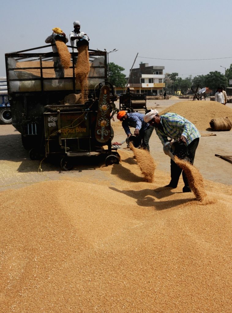 Grain Market