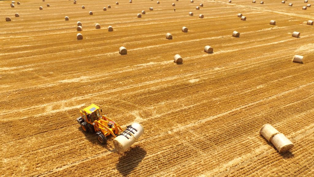 CHINA-WHEAT STRAW-RECYCLING
