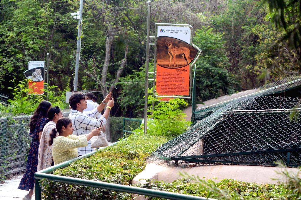 Visitors return to Lucknow Zoo amid bird flu concerns