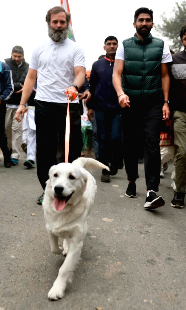 Free Photo :Luno also participated in Congress leader Rahul Gandhi's ...