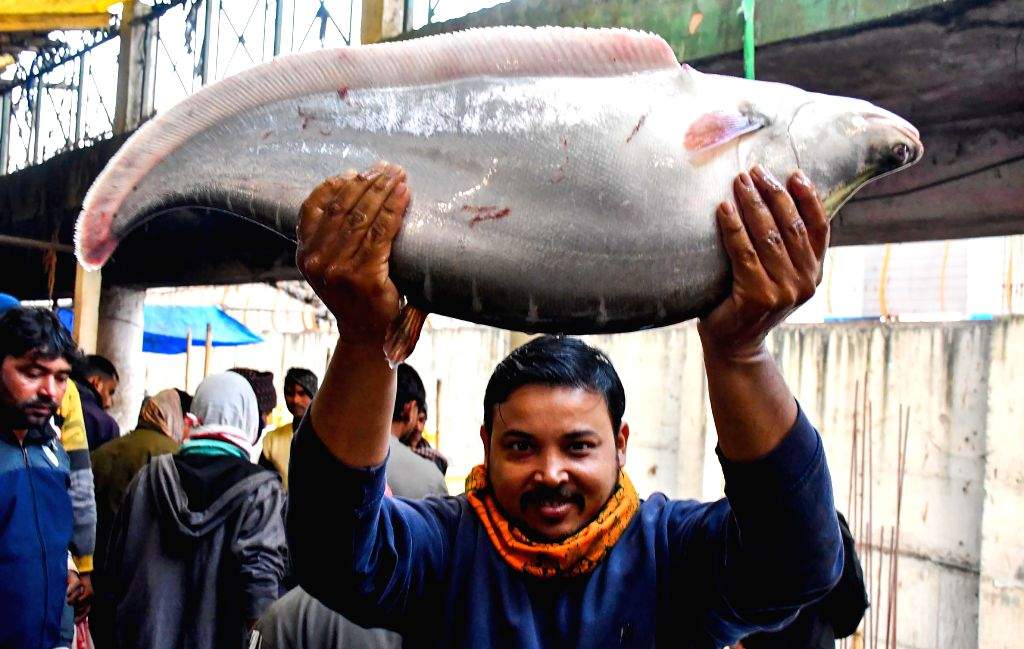 Magh Bihu Eve Fish Market