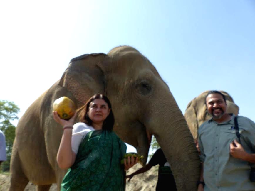 Maneka spends time with rescued elephants in Mathura