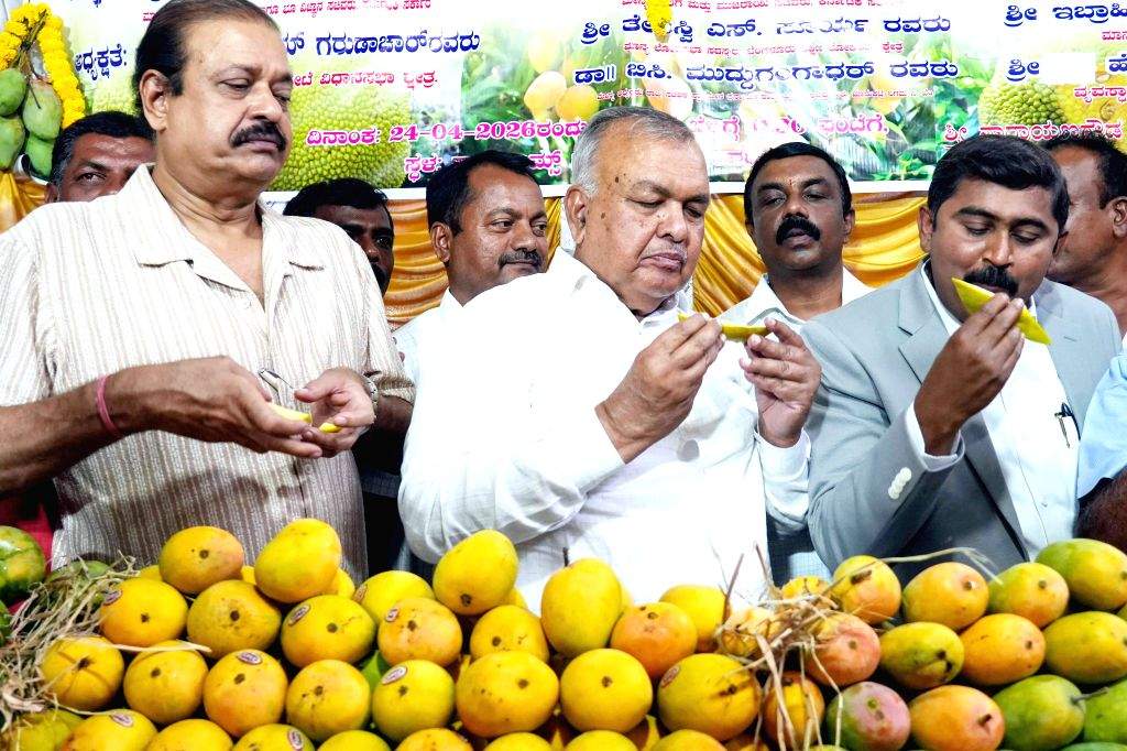 Mango Mela Opens at Hopcoms