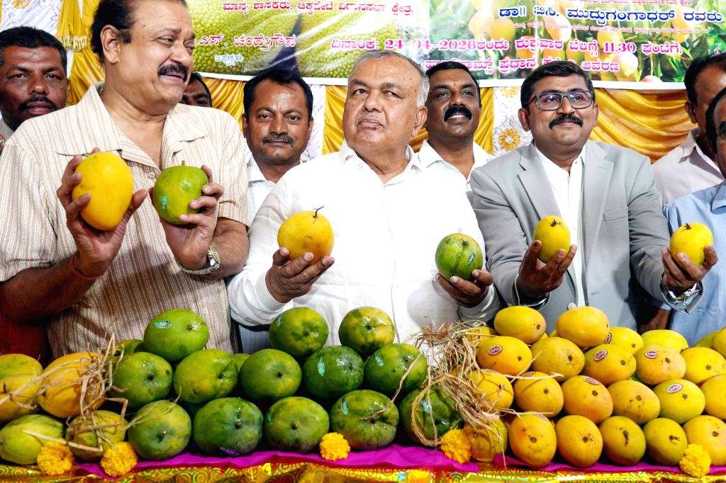 Mango Mela Opens at Hopcoms