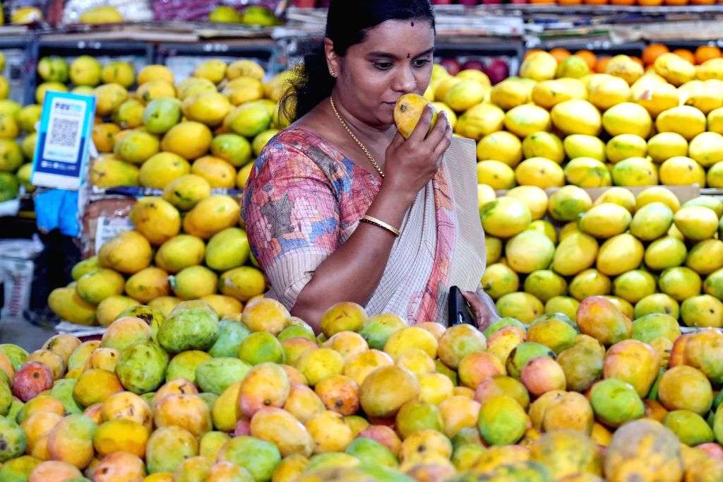 Mango Mela Opens at Hopcoms