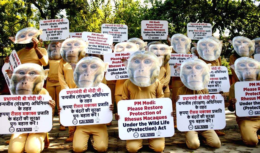 Members of PETA India stage a demonstration