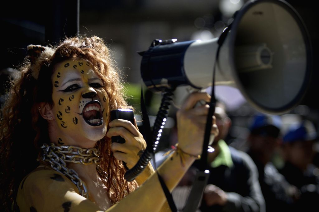The protest "Circus Without Animals" in Mexico City