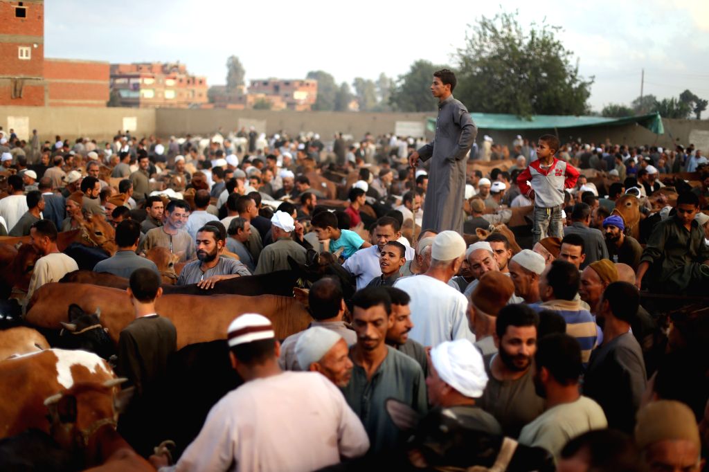 EGYPT-MONUFIA-EID AL-ADHA-LIVESTOCK MARKET
