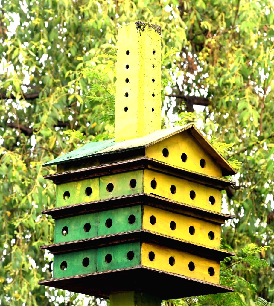 Mumbai : A wooden house is made for sparrows as a part of an awareness ...