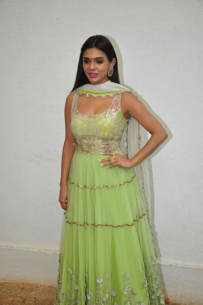 Film Barkhaa trailer launch