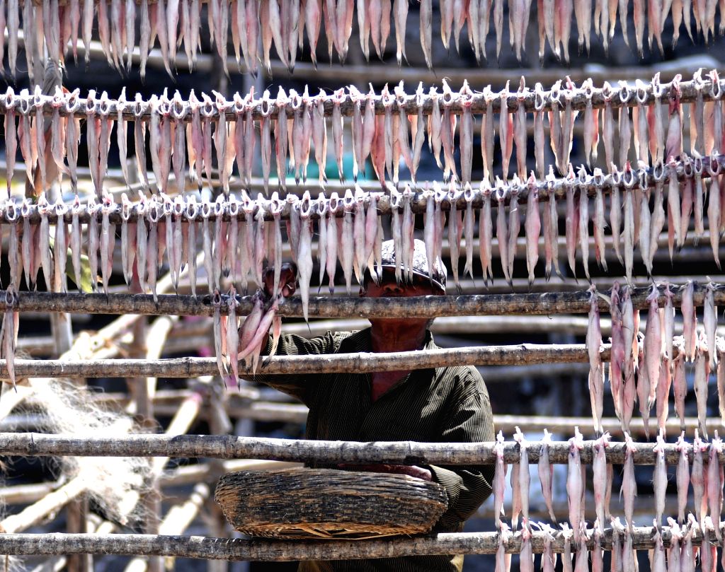 Mumbai : Fishermen drying fish at Versova Beach